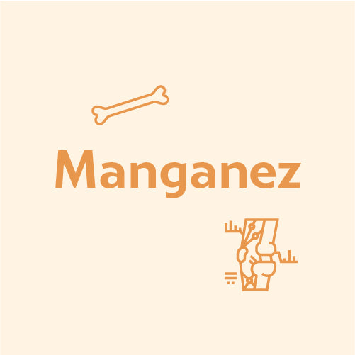 Manganez Nedir, Ne İşe Yarar? | Vitacoral İçerikleriyle Tanış